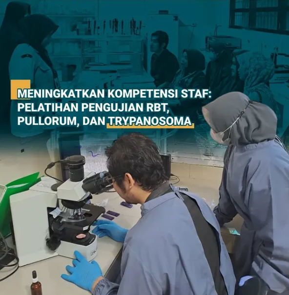 Staf UPT Balai Kesehatan Hewan Ikuti Pelatihan Pengujian RBT (Rose ...